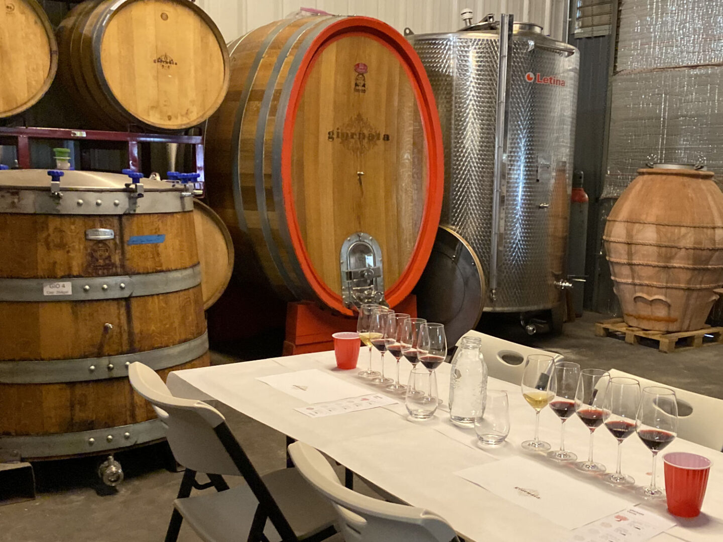 How to Taste Wine: the Five S’s of Wine Tasting - Toast Tours